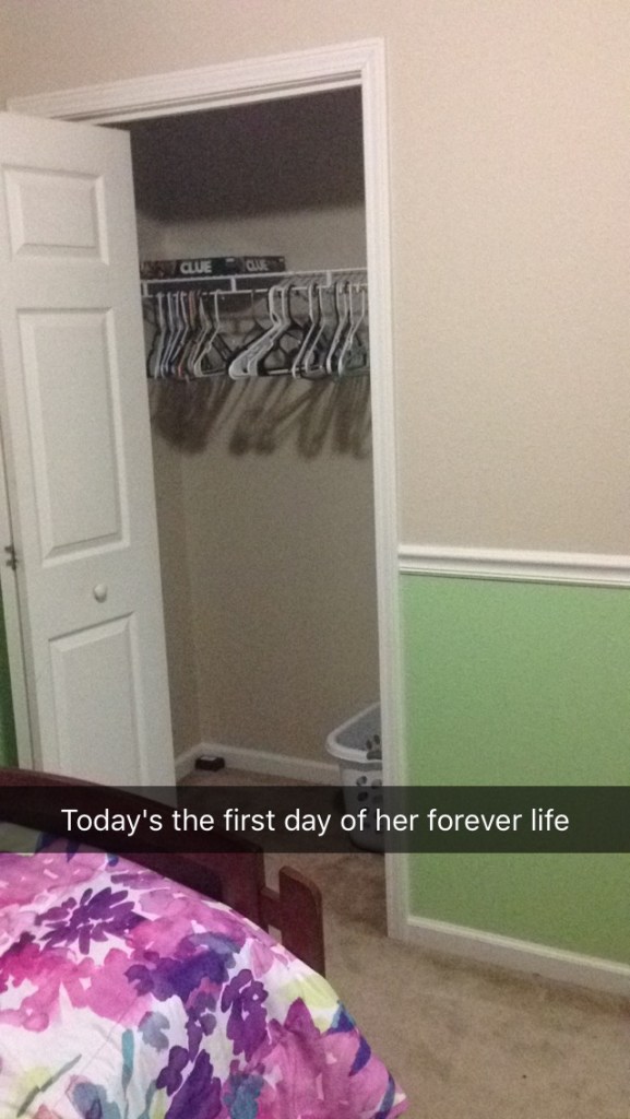 Saying Goodbye. – Foster, Life & Love